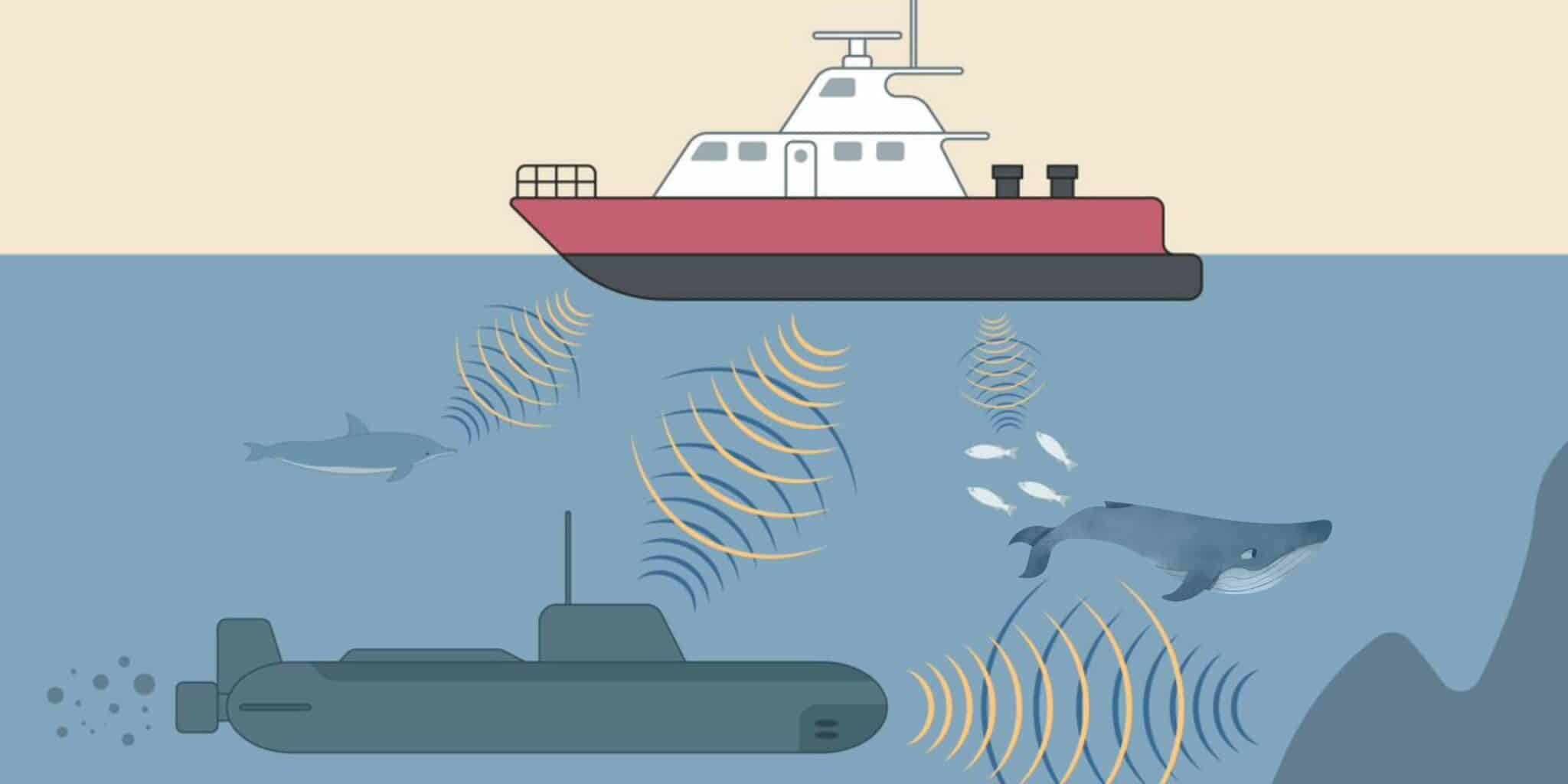 Underwater Disturbance: The Rise of Ship Noise Affecting Marine Mammals ...